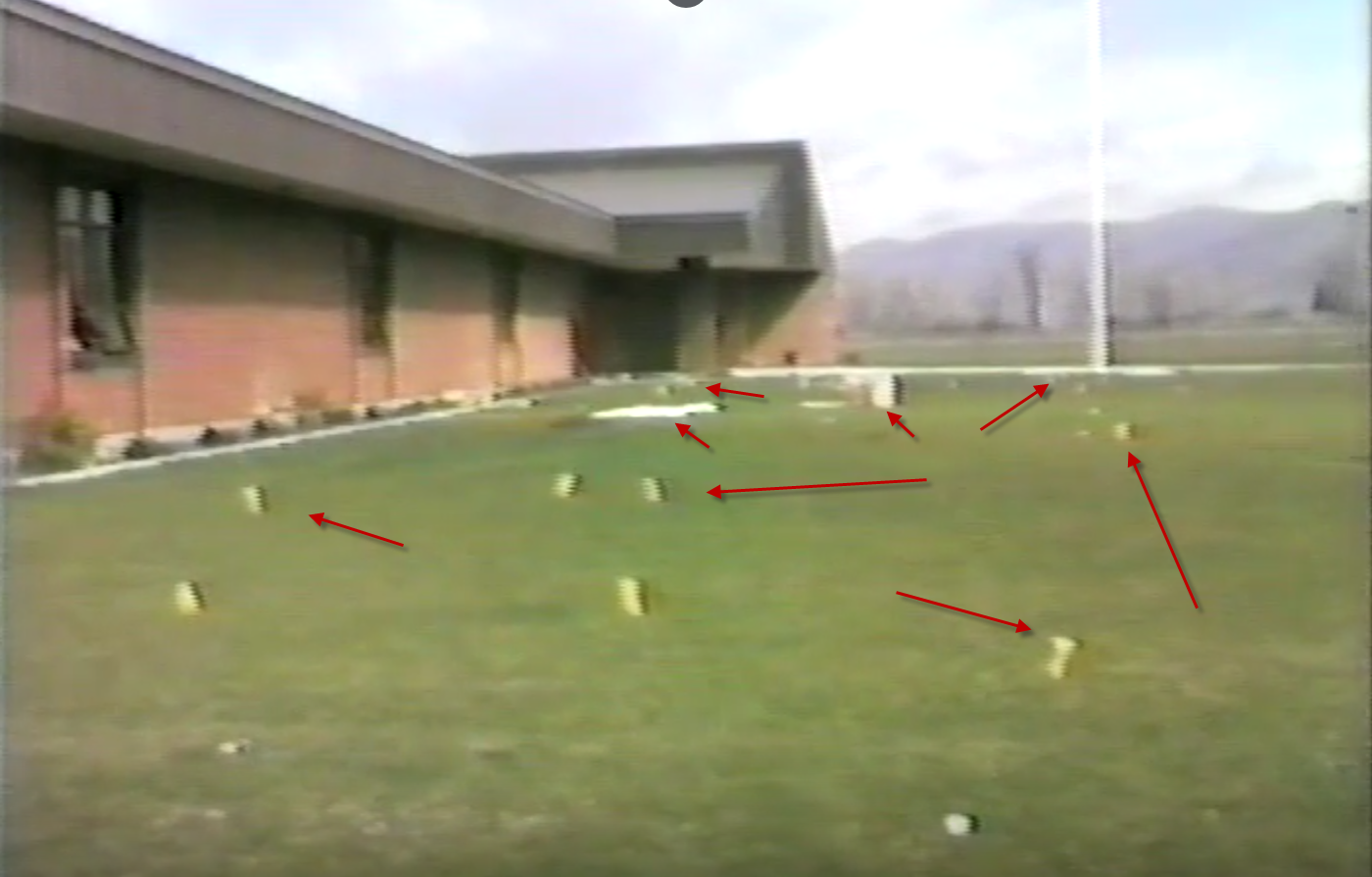 The Cokeville Miracle - The American Tragedy That Never Happened ...