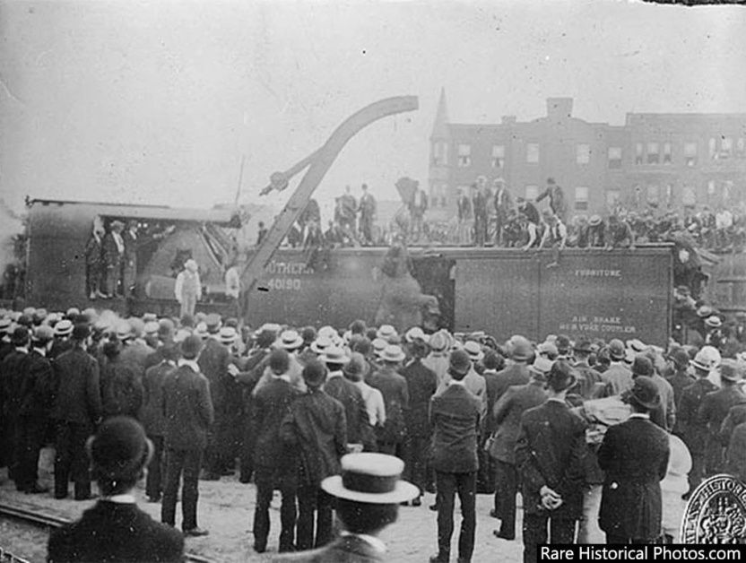 The Town That Hanged An Elephant - The Macabre Story Behind Murderous ...