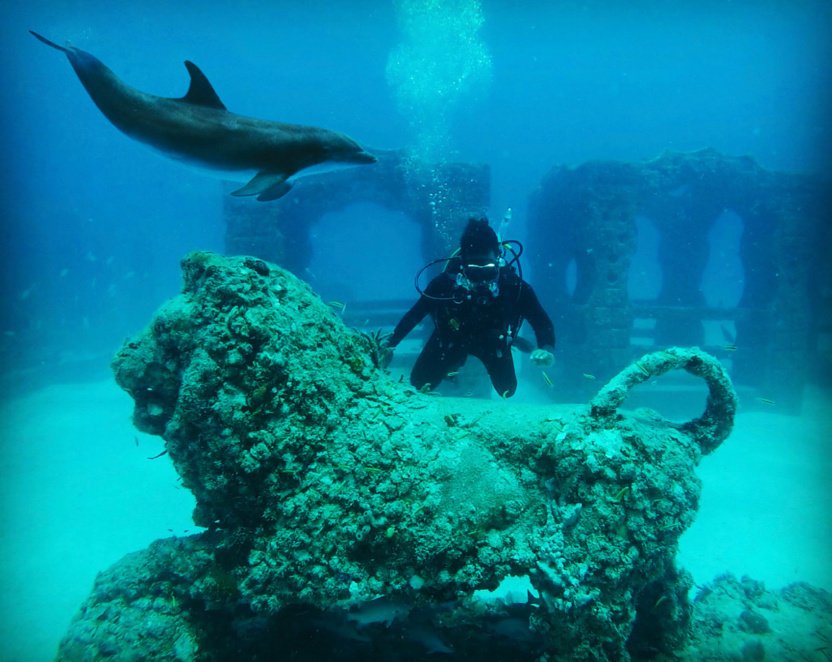 Neptune Memorial Reef - Florida's Bizarre Underwater Cemetery Is ...