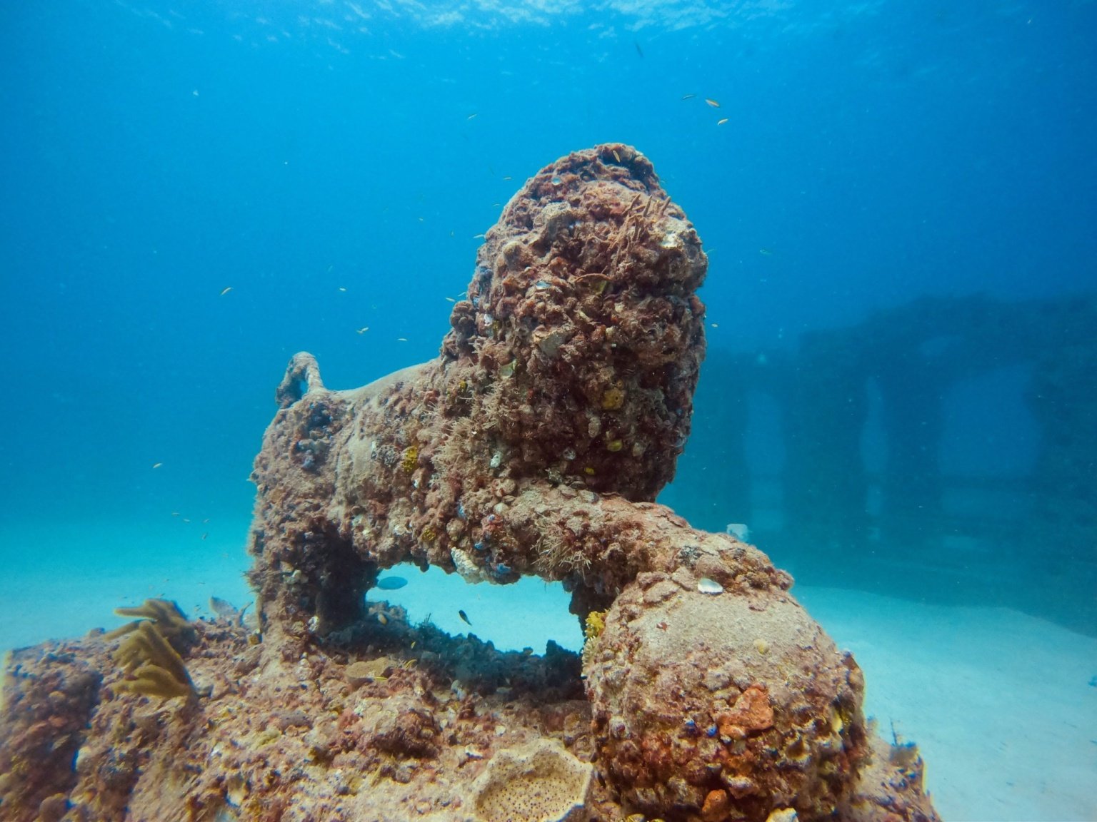 Neptune Memorial Reef - Florida's Bizarre Underwater Cemetery Is ...