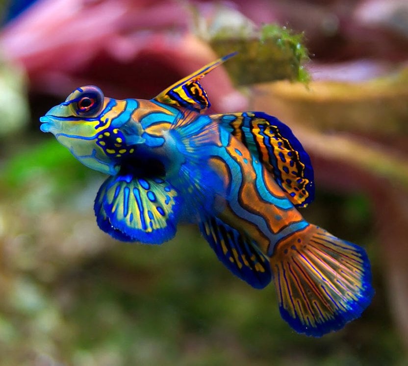 Hey, I Know You - And You Look Marvelous, Baby! Researchers Demonstrate ...
