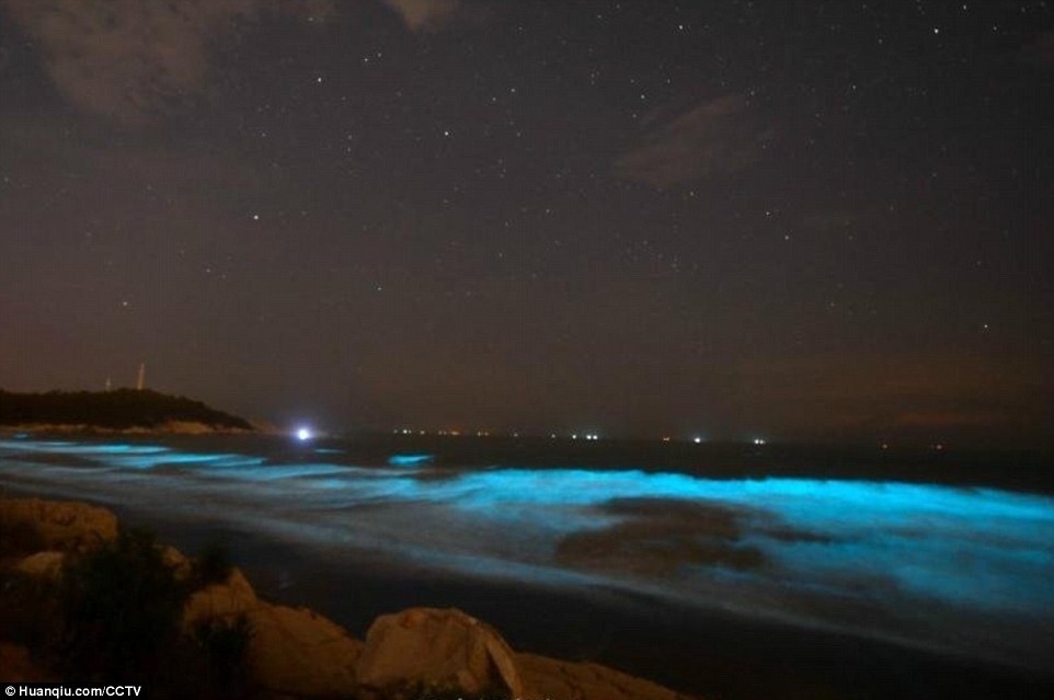Algae Invasion! Sea Ghosts Create Beautiful Light Show On China's Beach ...