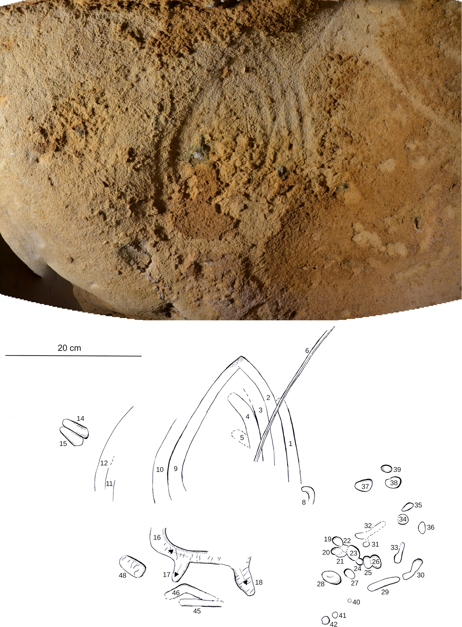 France's La Roche-Cotard Cave Drawings Determined To Be The Oldest ...