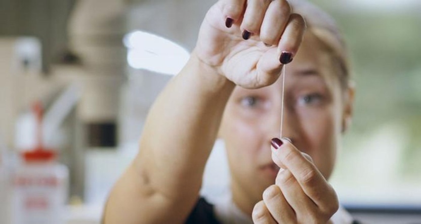 Research Reveals Surprising Details About The World's Strongest Spider ...