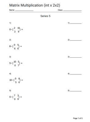 Math Matrix Multiplication Int Times 2x2 Matrix Worksheet Value 5-PACK ...