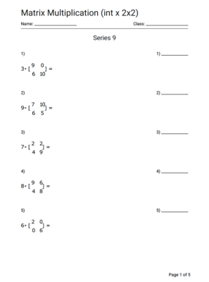 Math Matrix Multiplication Int Times 2x2 Matrix Worksheet Series 9 ...